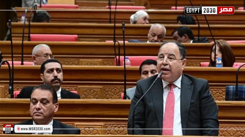 وزير المالية متوسط ضريبة التجارة الإلكترونية يصل لـ300 مليون جنيه