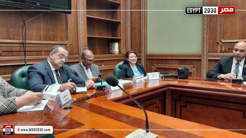 مساعد وزيرة الهجرة يستعرض جهود الوزارة في ملف دعم ورعاية المصريين